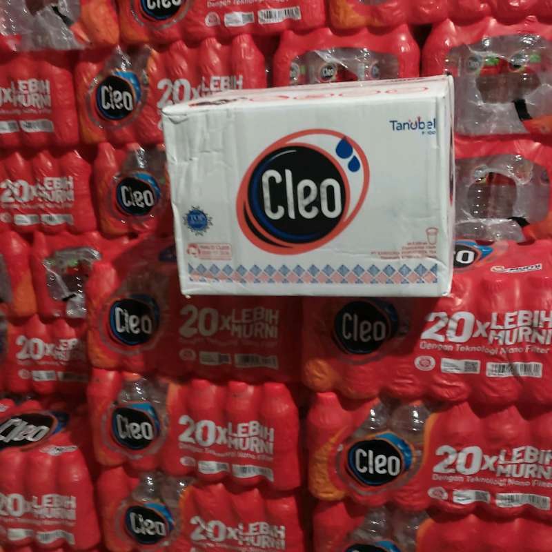 Jual PROMO - CLEO Air Mineral 220ml X 24 Pcs di Seller TOKO MEGA GROSIR ...