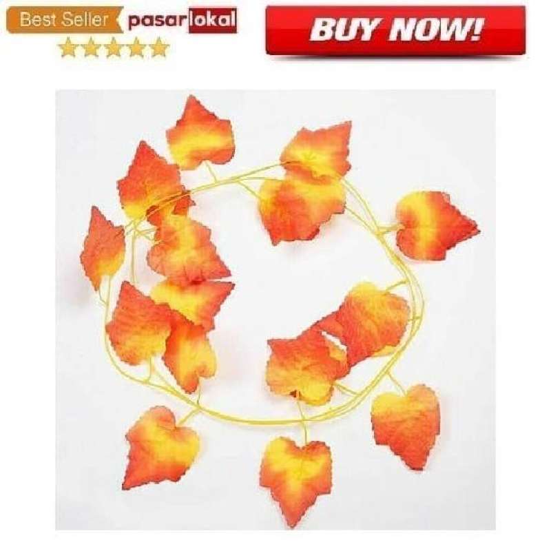 Jual Daun Menjalar Original Murah - Harga Diskon Juni 2024 | Blibli.com