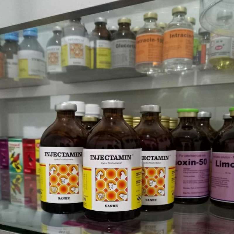 Promo Injectamin 100 ml vitamin gangguan pertumbuhan & reproduksi sapi ...