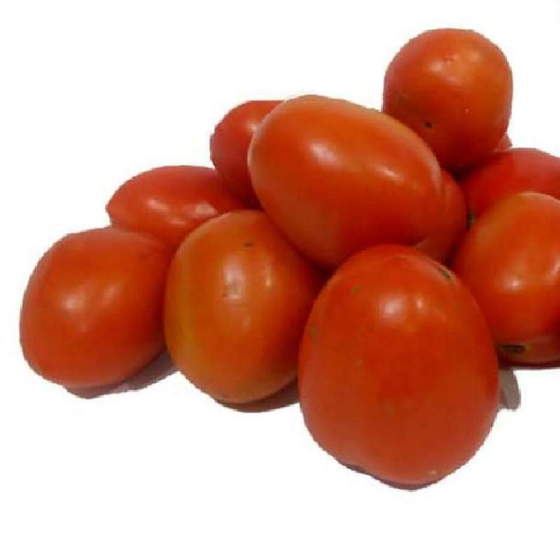 Jual TOMAT SEGAR 250 GRAM di Seller WARUNG SAYUR SEGAR TANGERANG ...