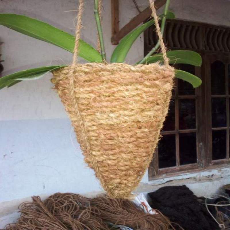 Simak! Gambar Bunga Anggrek Di Pot Jaman Now - Informasi Seputar ...