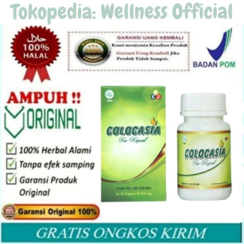 Promo Colocasia Asli Obat Nyeri Sendi Tulang Otot Original Herbal Alami ...