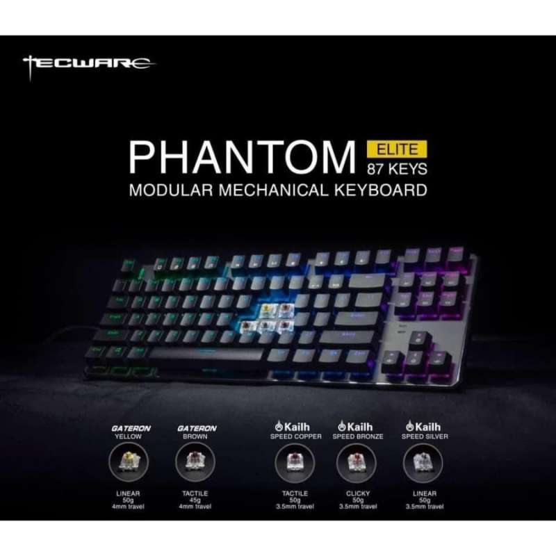 Jual Tecware Phantom Elite P87 TKL RGB Gatheron Switch Mechanical ...