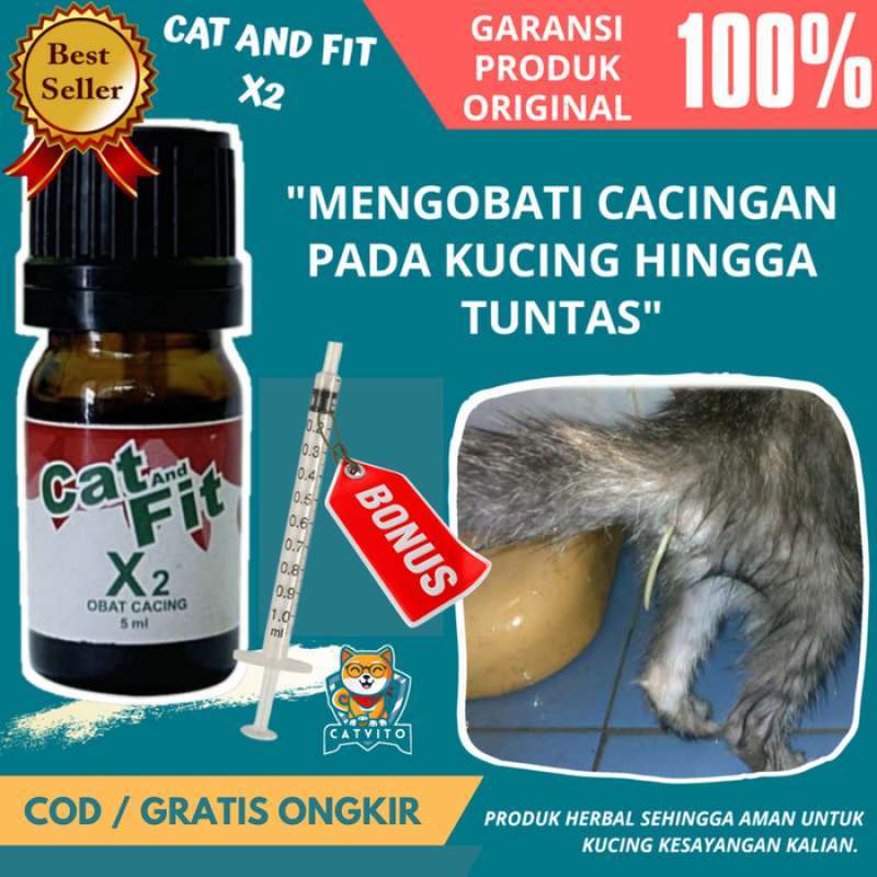 Jual Obat Cacing Kucing Cacingan Cat And Fit X2 Ampuh Manjur di Seller ...