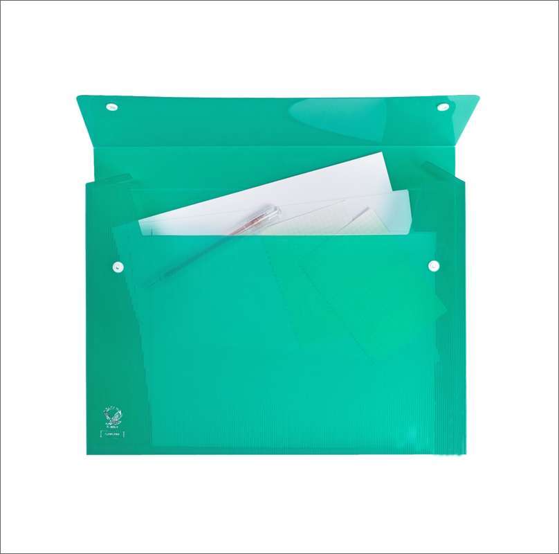 Jual Eagle Files Carry File Box / Carry Case / Map Plastik Kancing ...