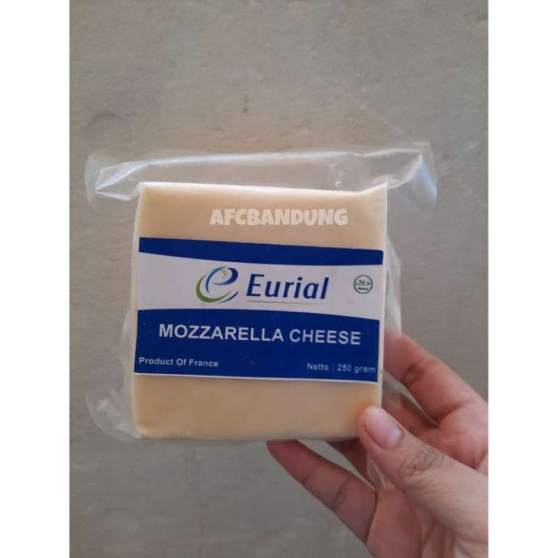 Jual Keju mozzarella EURIAL 250gr mozarella cheese mozarela di Seller ...