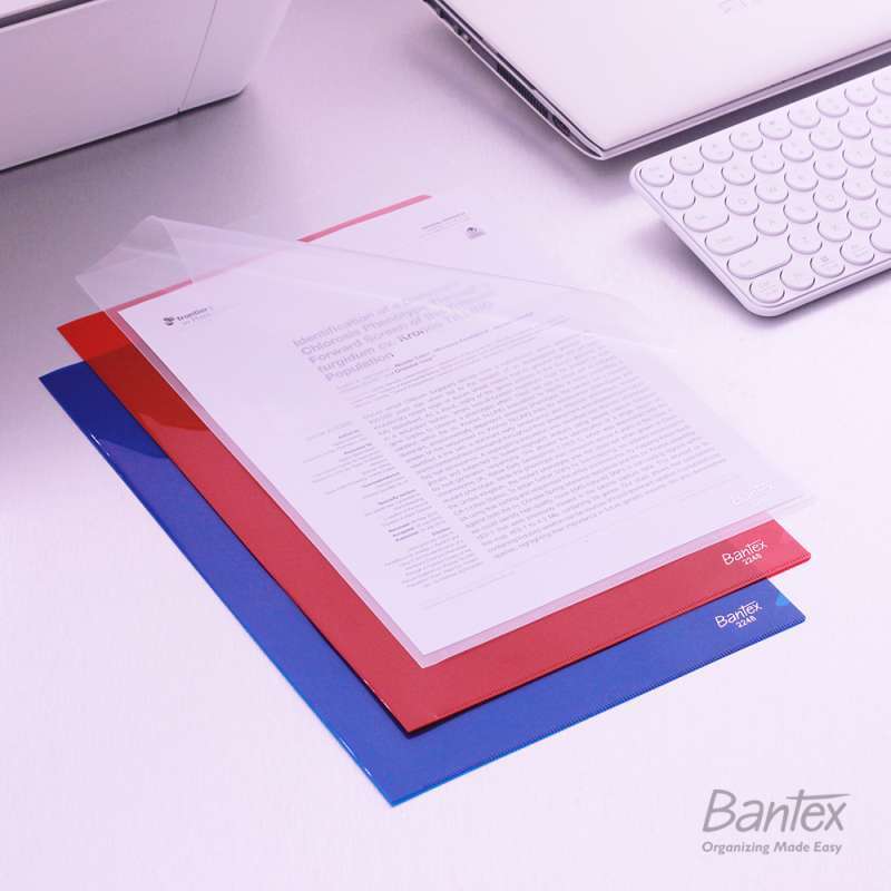 Jual Bantex Map L Plastik Bening Clear Sleeve L Folder Folio F4 ...