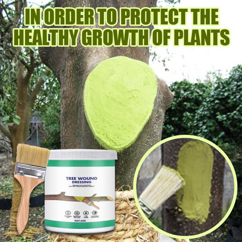 Jual 1 Set 30g Tree Pruning Sealer Prevent Decay Well Adhensive Rains ...
