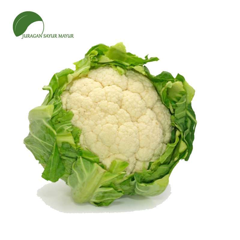 Jual Sayur Segar - Kembang Kol 500 gram di Seller Juragan Sayur Mayur ...