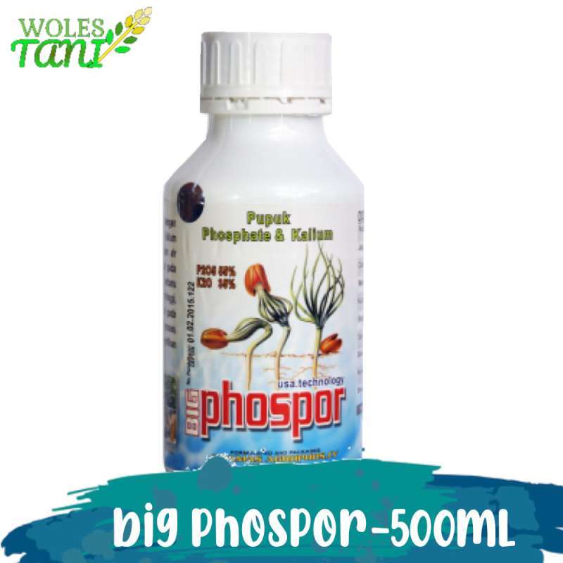 Jual Big Phospor 500 Ml 💯 Harga Murah & Kualitas Terbaik Juni 2025
