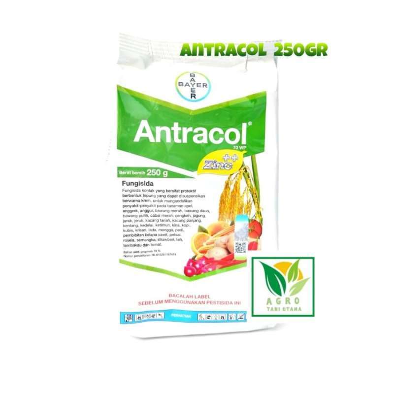 Jual Fungisida ANTRACOL Mengendalikan penyakit jamur pada tanaman di ...