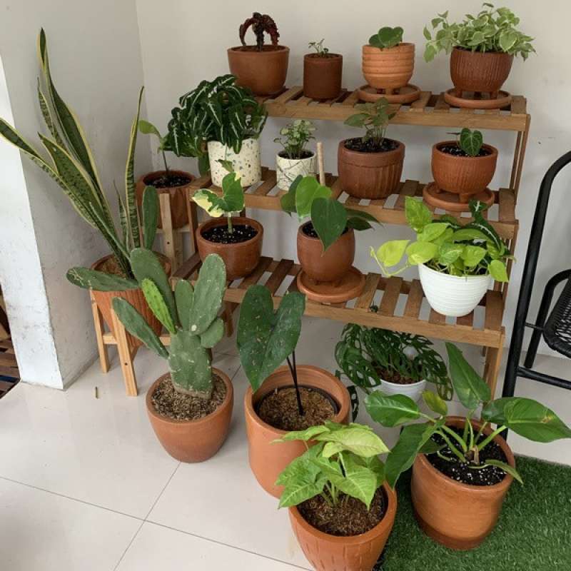 Promo Rak tanaman kayu ulin A3 Diskon 17% di Seller Rumahku Idamanku ...