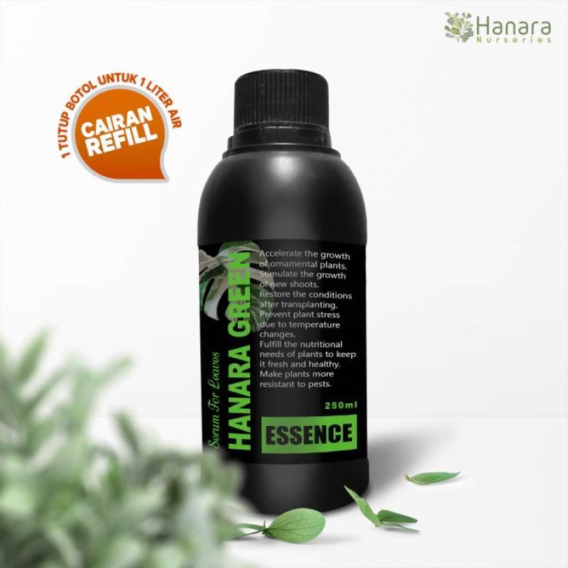 Promo Hanara Green Essence - hormon pertumbuhan tunas dan daun untuk ...