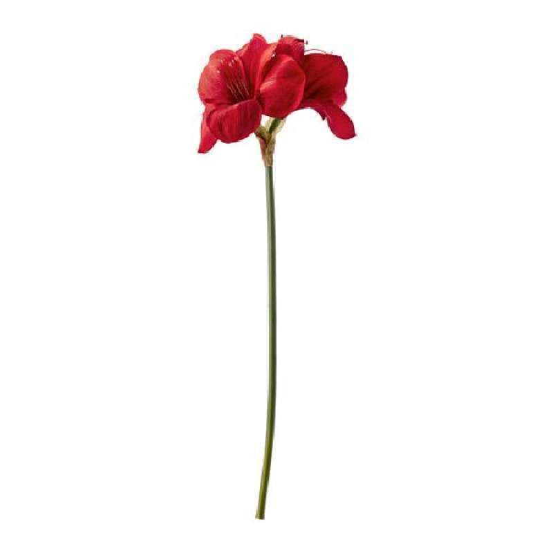 Jual Ikea Bunga Tiruan Dalam luar Ruang Amaryllis - Merah di Seller ...