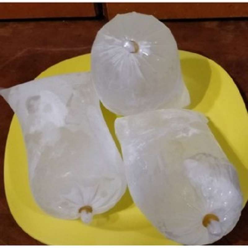 Jual Es Batu 1 Kg Di Seller Ozanfoods Tangerang Gondrong Kota