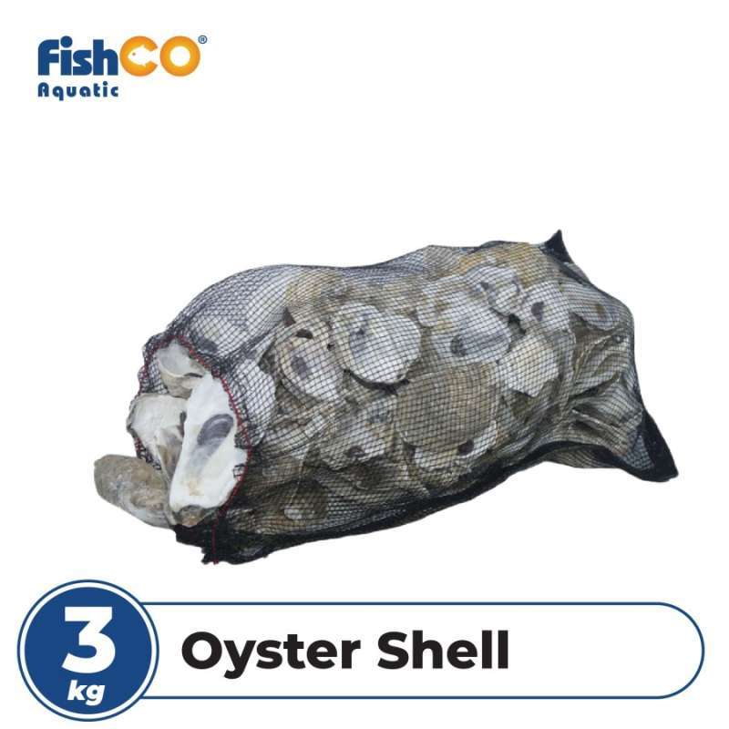 Jual Media Filter Aquarium Kerang Oyster Shell Cangkang Tiram 3Kg ...