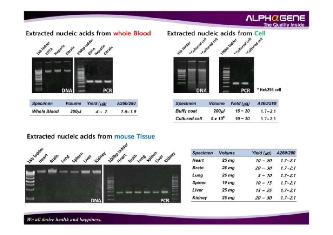 Jual Alphaprep™ Viral Dna/rna Extraction Kit Alat Tes Laboratorium Di ...