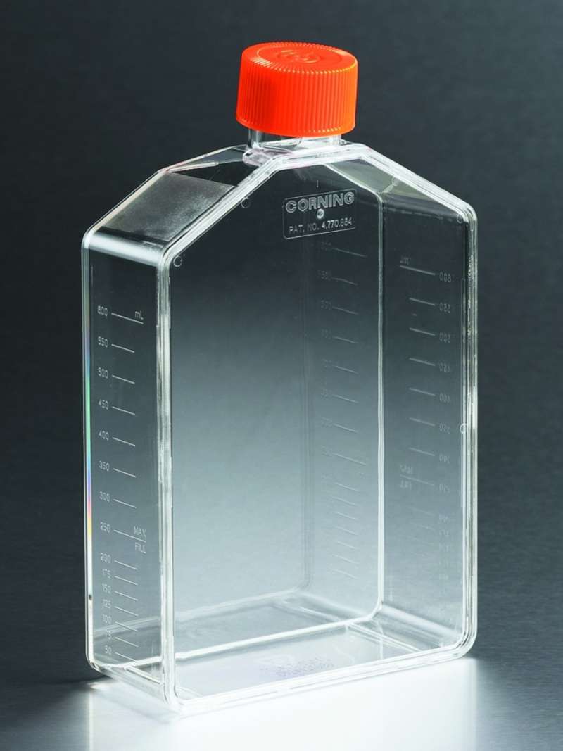 Jual 431080 Corning® 175cm² Angled Neck Cell Culture - Case Di Seller ...