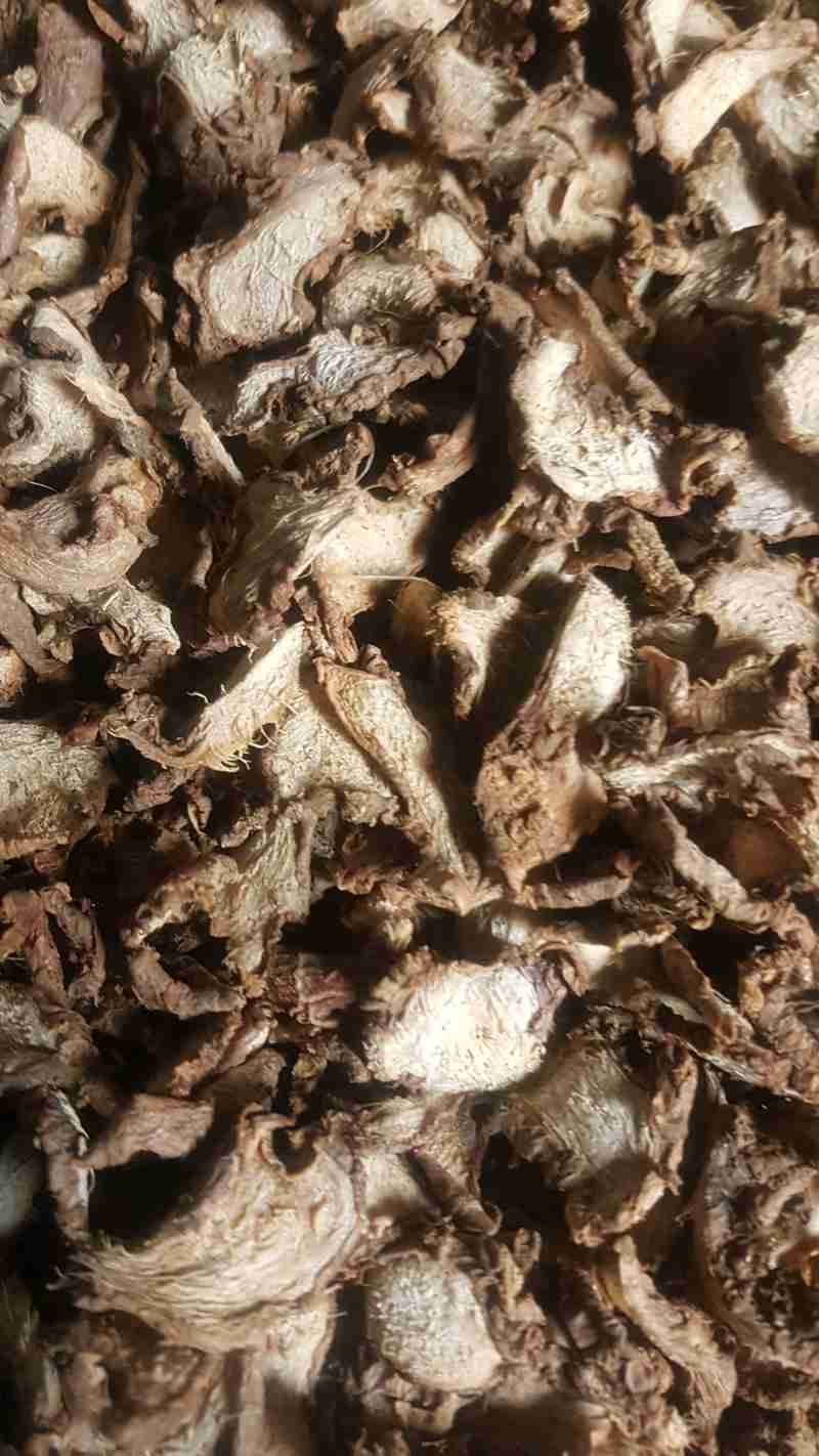 Jual LEMPUYANG KERING 500 GRAM EMPON EMPON REMPAH TRADISIONAL di Seller ...