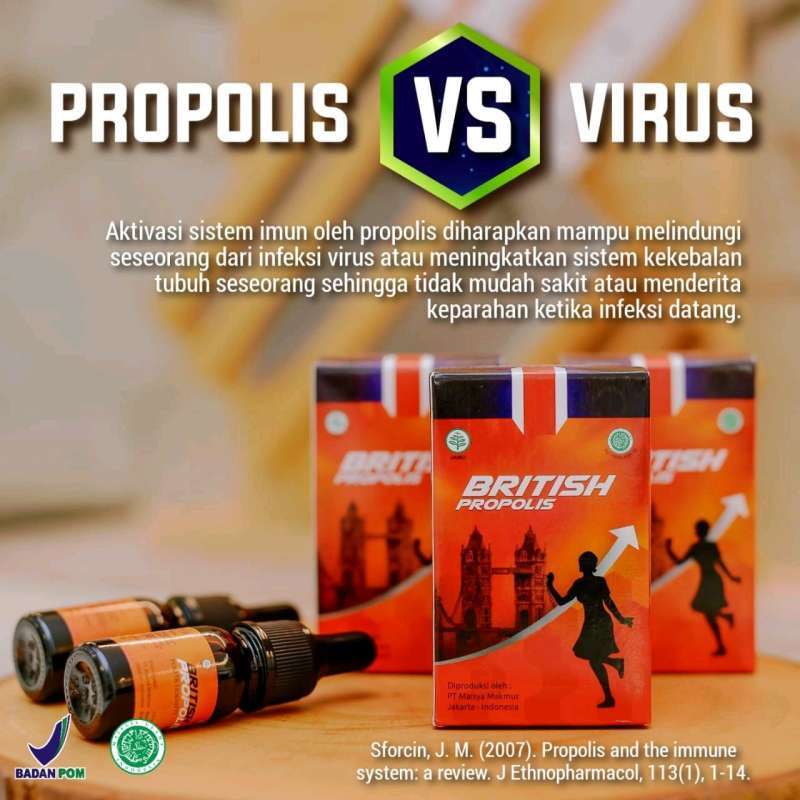 Promo British Propolis Paket Hemat 3 Botol Garansi 100% Original Diskon ...