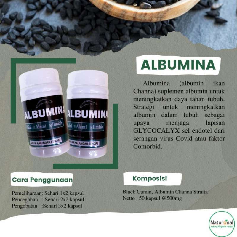 Albumina Lengkap Harga Terbaru April 2024 | Blibli