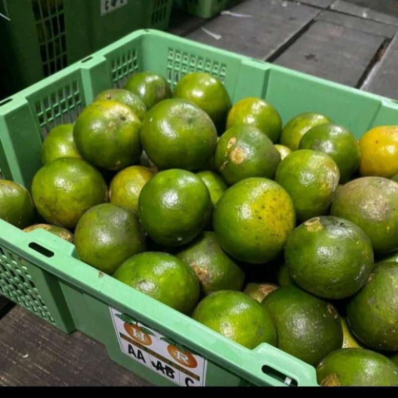 Jual Harga Jeruk Pontianak 1 Kg Termurah - Harga Grosir Terupdate Hari ...