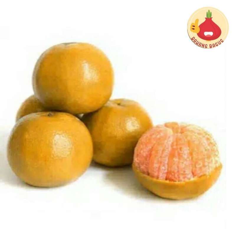 Jual Jeruk Medan 1kg - Bawangbagus di Seller Bawangbagus - Cipondoh ...