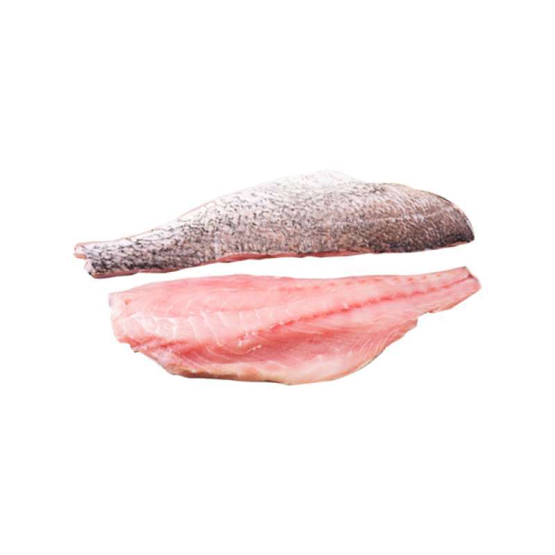 Jual Ikan Kakap Hitam 🏷️ Original Terbaru, Terlengkap, & Harga Termurah ...
