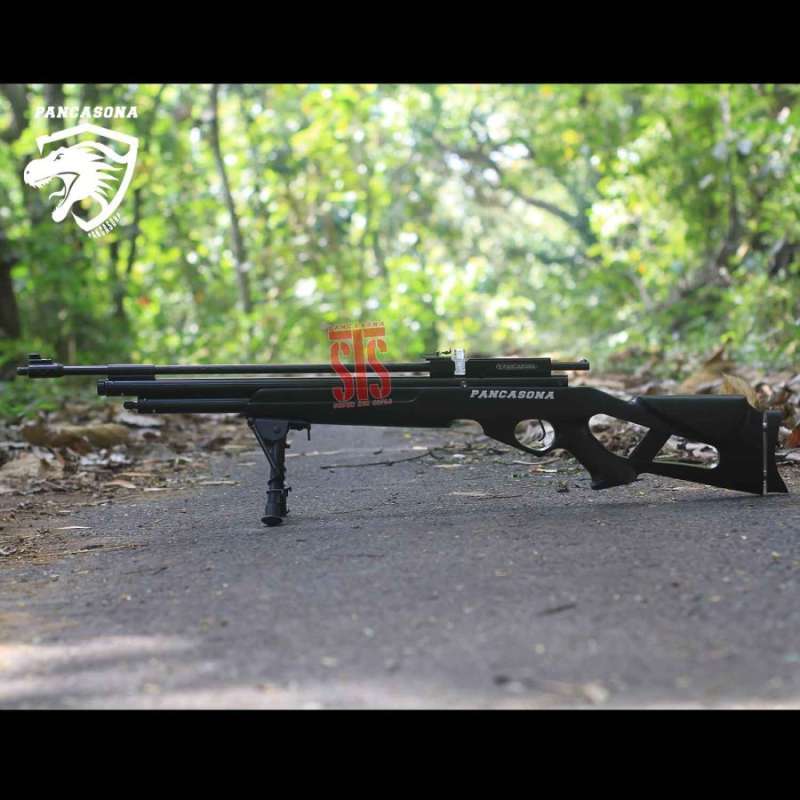 Jual Senapan Angin Gas Pancasona Dobel Tabung 25/60 Gamo Hitam Magazin ...