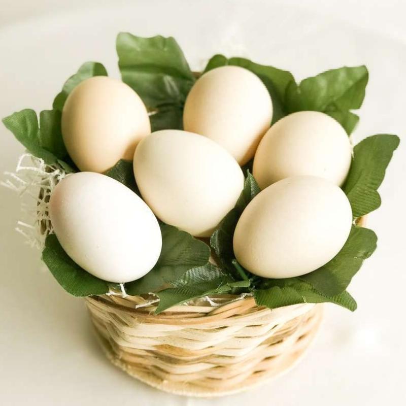 Jual Telur Ayam Kampung Asli Fresh (perbutir) Halal di Seller EggBoy ...