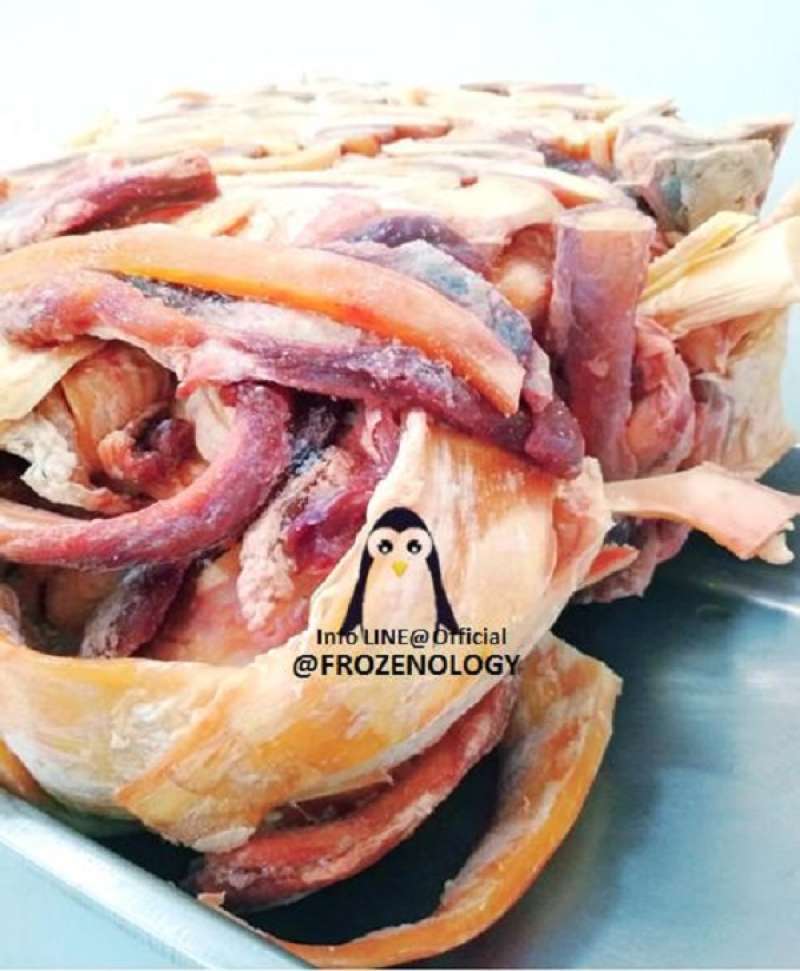 Jual Tendon Sapi Kemasan Termurah - Harga Grosir Terupdate Hari Ini ...