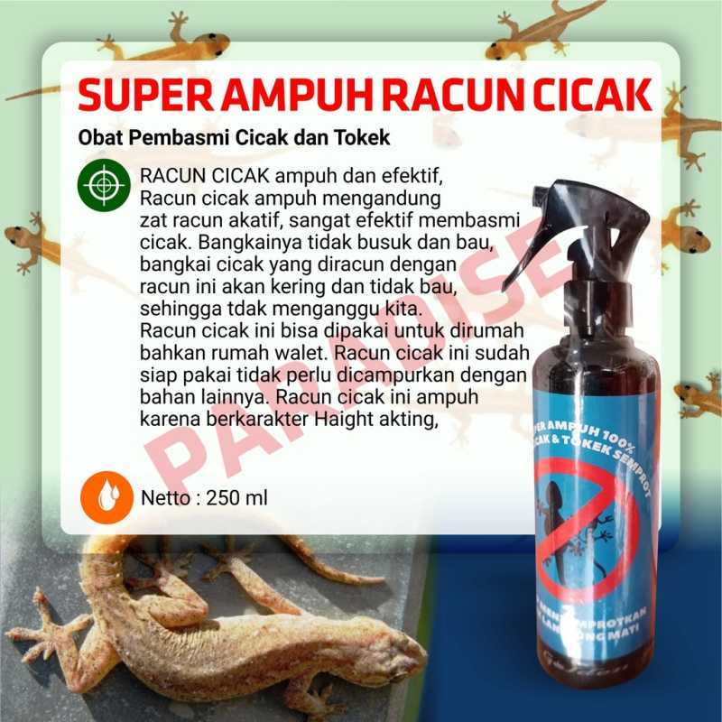 Jual Racun Pembunuh Cicak Obat Racun Pembasmi Cicak Tokek Super Ampuh ...