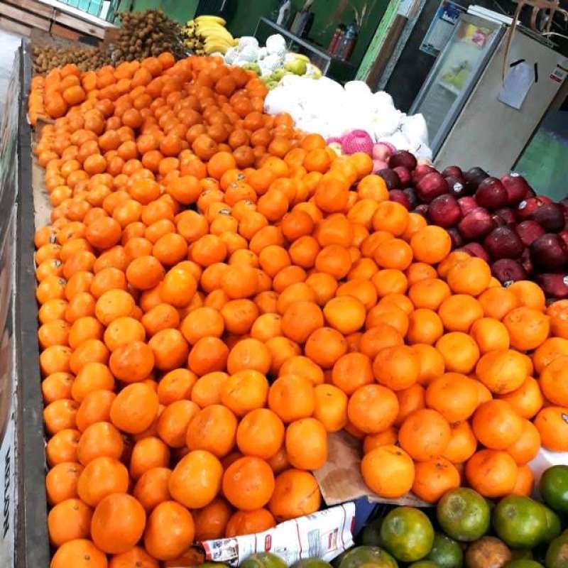 Jual Jeruk Pakistan 1 Kg Termurah - Harga Grosir Terupdate Hari Ini ...