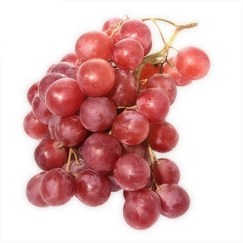 Jual Buah Anggur Merah 1 Kg di Seller ozanfoods jakarta utara ...