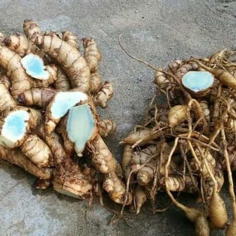 Temu Hitam Lengkap Harga Terbaru Juni 2024 | Blibli