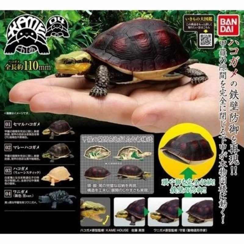 Promo Unik bandai Gashapon gachapon gacha kame Turtle kura kura ...