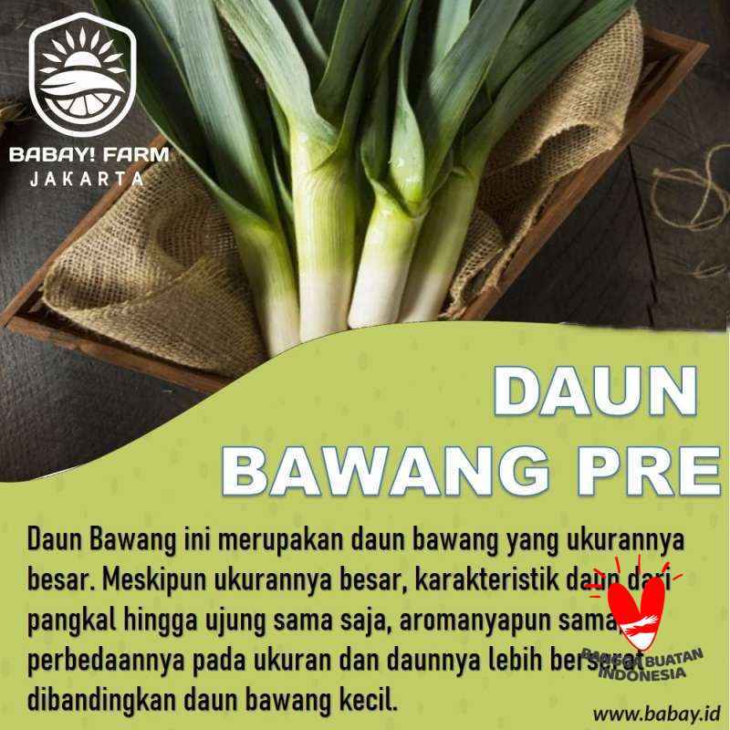 Jual Daun Bawang Pre 1 ikat di Seller Babay! Farm Jakarta - Cipedak ...
