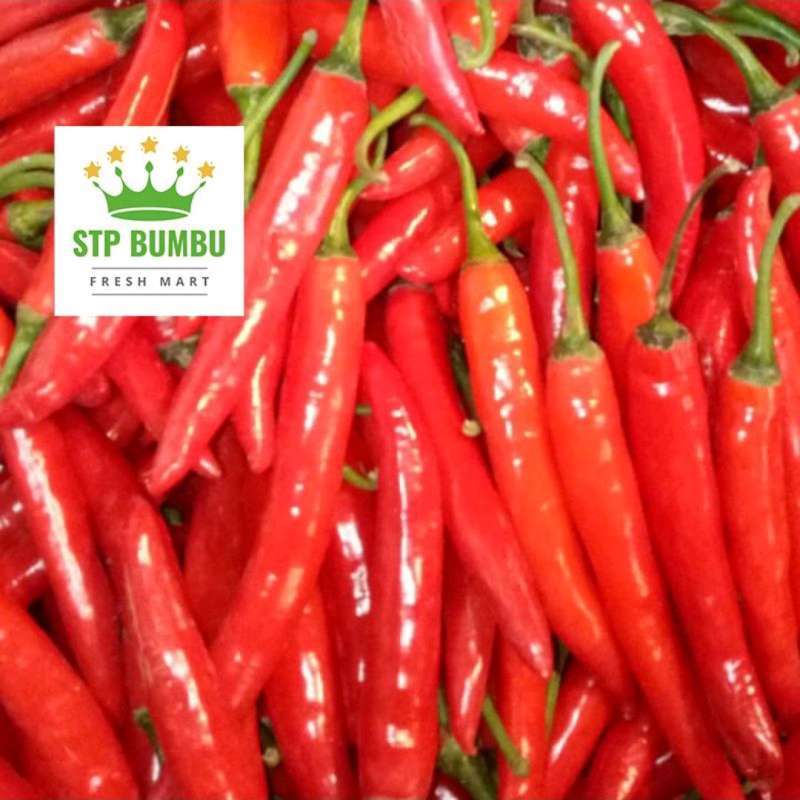 Jual Cabe Merah Besar Segar 1kg / Cabai Fresh 1 kg Halal di Seller STP ...