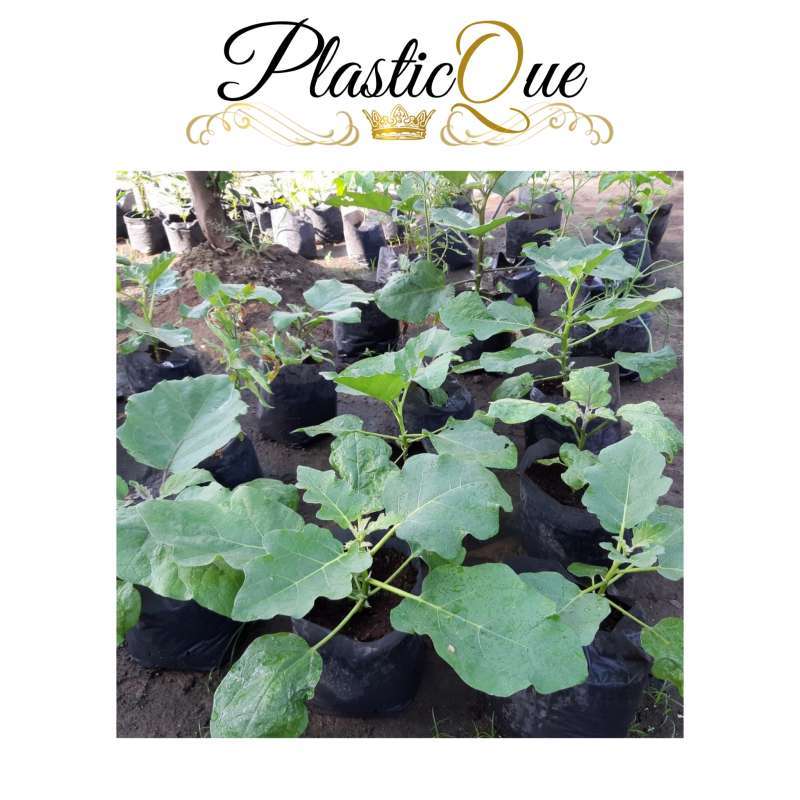 Promo Plastik Polybag Tanaman Hitam 500 Gram Tebal 10x15cm 10x15 Cm ...