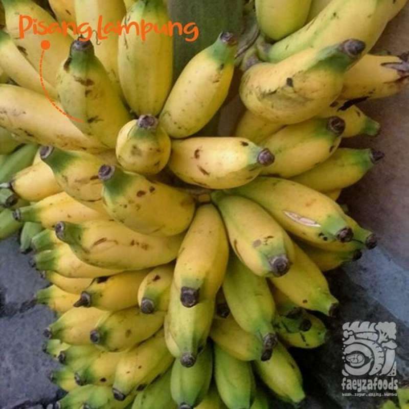 Jual Pisang Lampung Segar / Pisang Lampung / Buah Pisang Segar / 1 ...