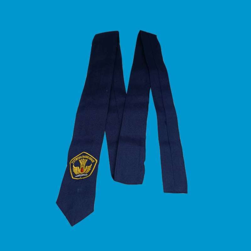 7 Cara Memakai Dasi Sekolah yang Benar dan Mudah - Blibli Friends