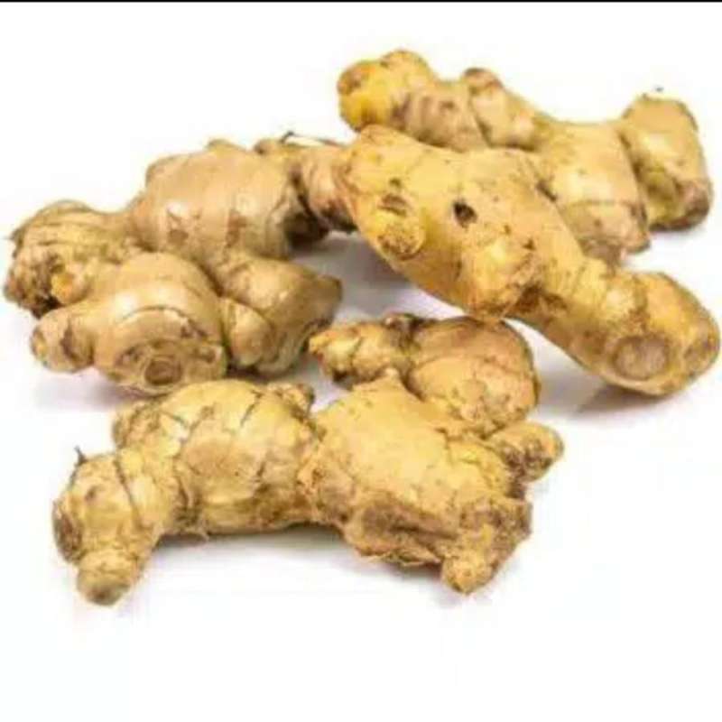Jual Jahe Emprit/jahe Putih 250 Gram Di Seller Sayur Mama Dian ... Jual Jahe Emprit/jahe Putih 250 Gram Di Seller Sayur Mama Dian ...