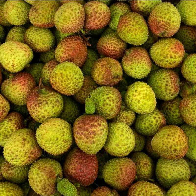 Jual buah leci manis segar banyak air fresh import 500g Halal di Seller ...