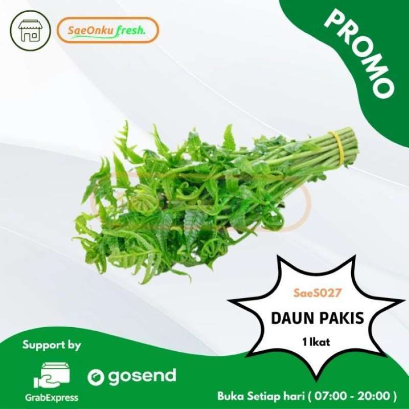 Jual Daun pakis sayur segar di Seller SaeOnku_Fresh - Menanggal, Kota ...