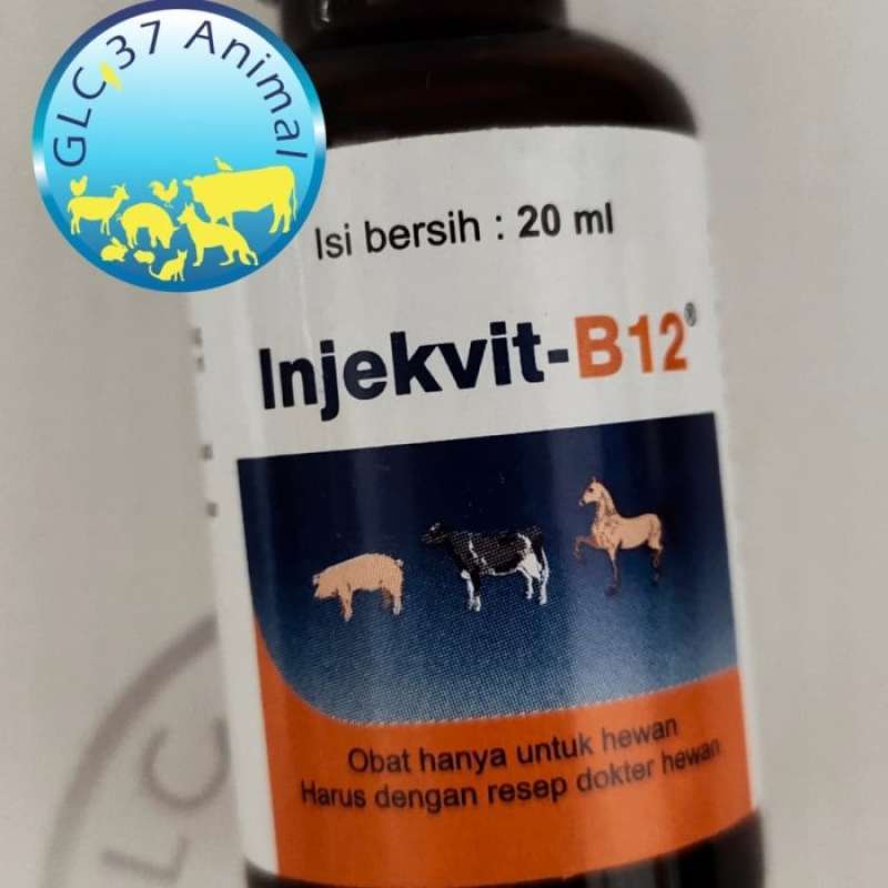 Promo INJEKVIT B12 mencegah anemia pada kuda sapi domba babi anjing ...
