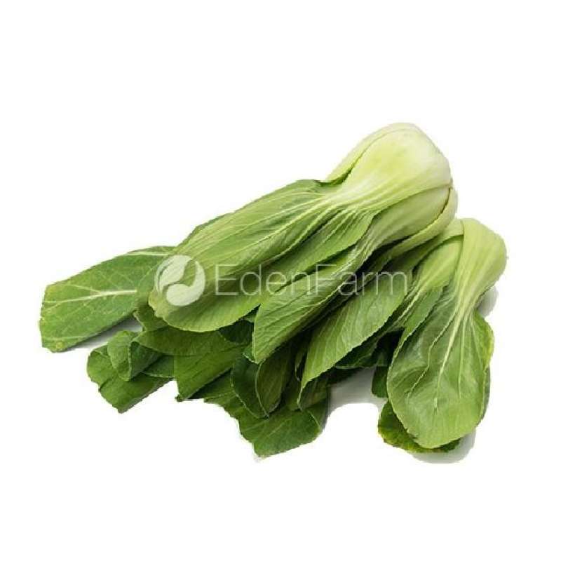 Jual Sayur Pakcoy/ Pakchoy/ Pokcoy/ Coysam/ Sawi Sendok Segar 1/2 KG ...