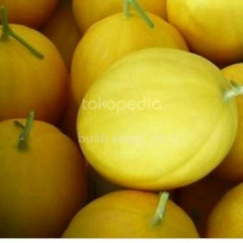 Jual Buah Melon Golden/Melon Kuning Per 1 Pcs Halal di Seller buah ...