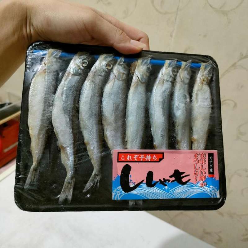 Jual Ikan Shisamo/Ikan Telur/Ikan Capelin Frozen premium import grade ...