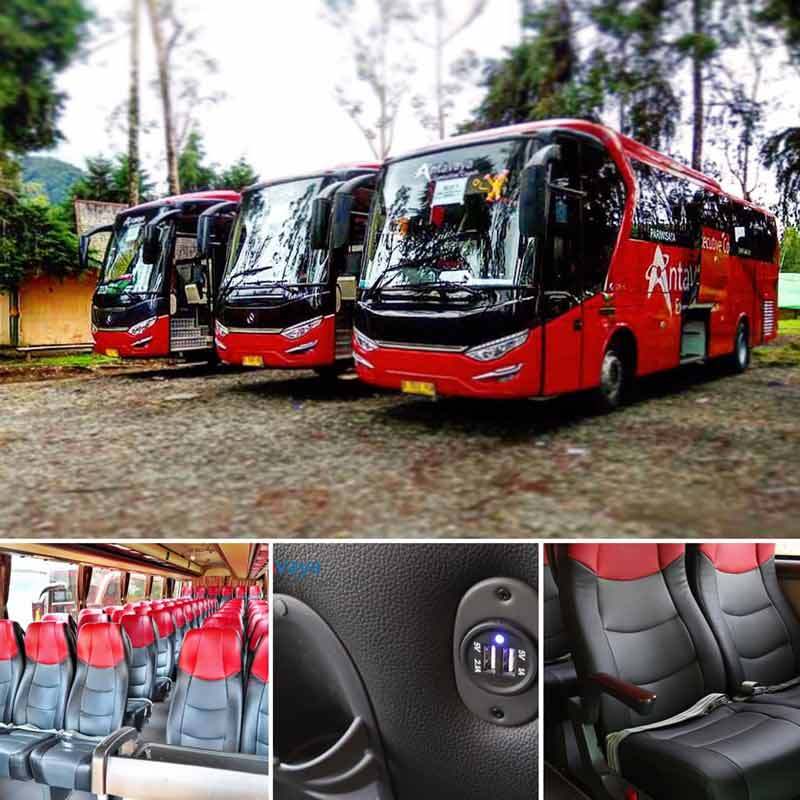 Jual Antavaya Tour Executive Coach Big Bus Pariwisata Sewa Bus Tour ...