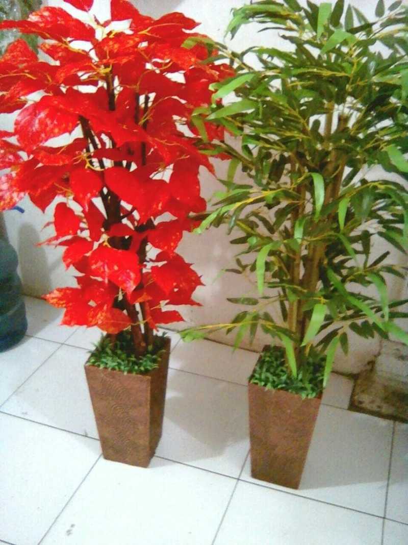 Jual pohon bambu ,pohon sinfu di Seller Fatih Bunga Dekorasi - Kencana ...
